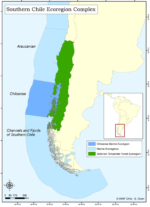 Nuestro continente: ECORREGIONES